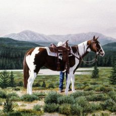 Horses - The Gallery of Artist, Michael G Booth